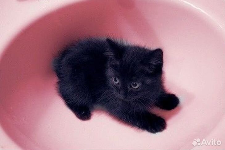 Кроха Лина в добрые руки