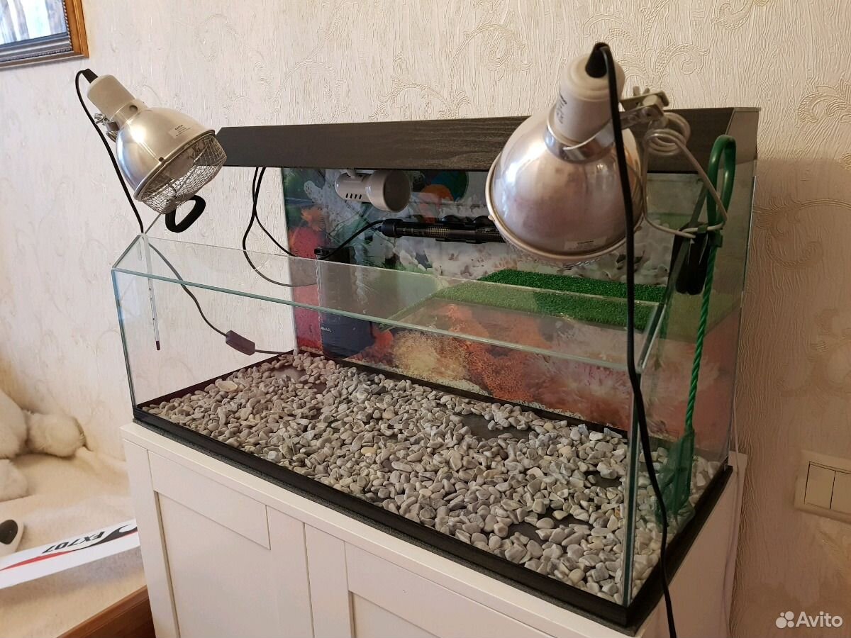 Аквариум для черепах 100л