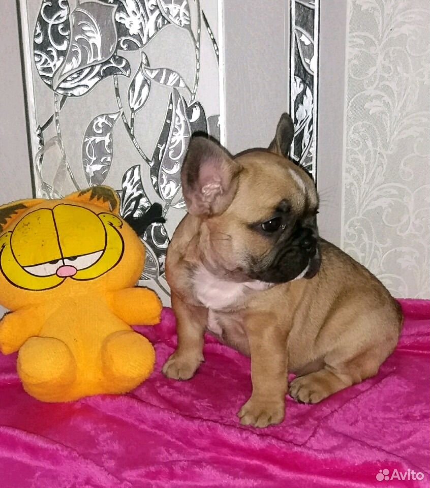 Милашка - очаровашка