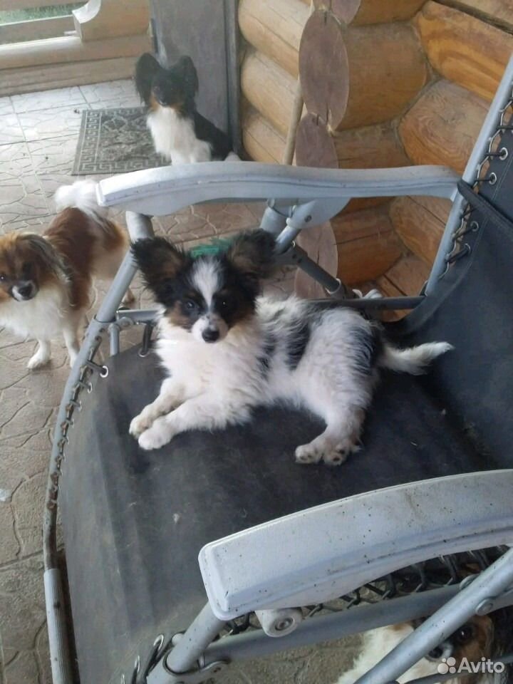 Мальчик - красатульчик