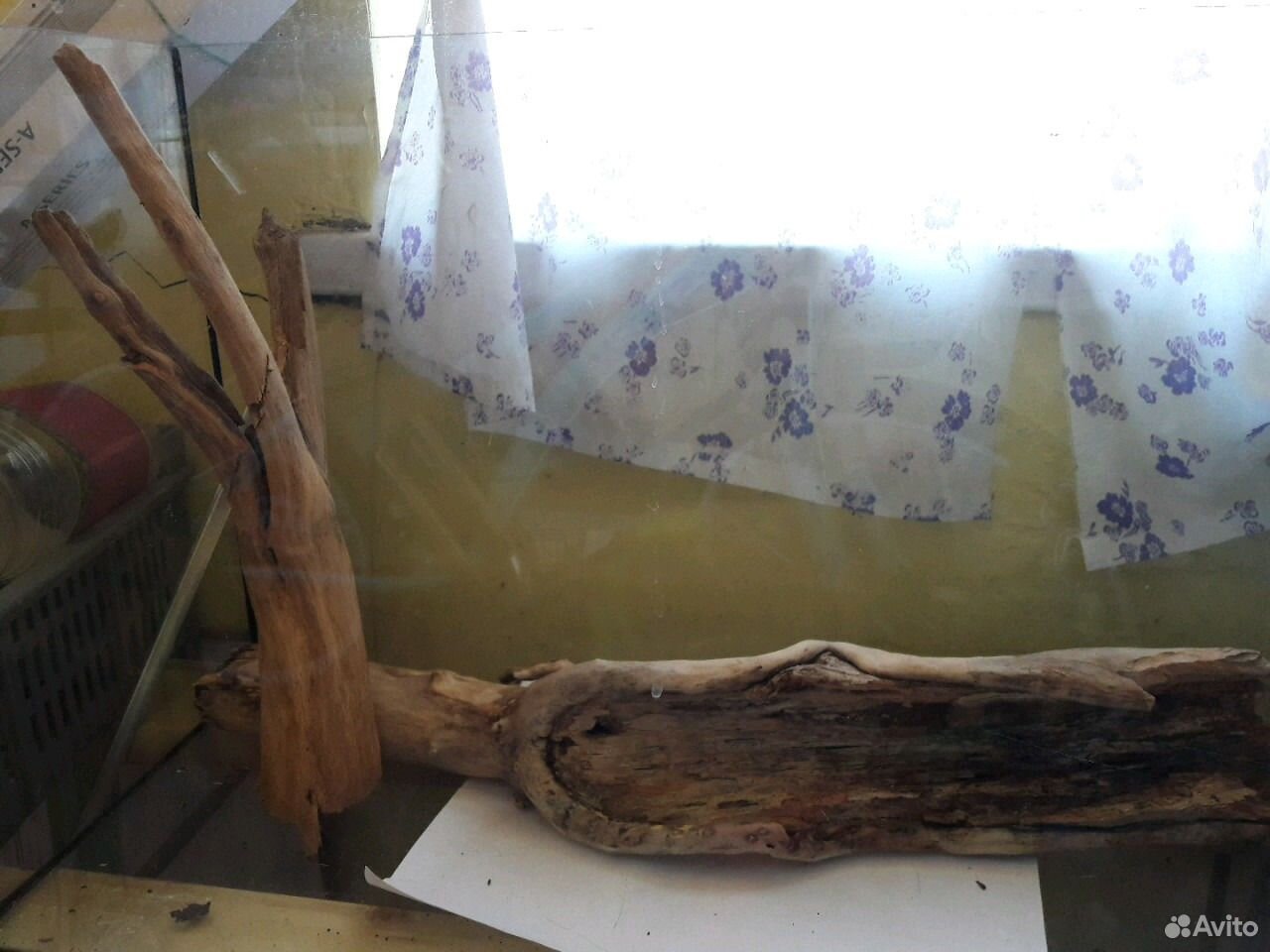 Коряги для оформления аквариума
