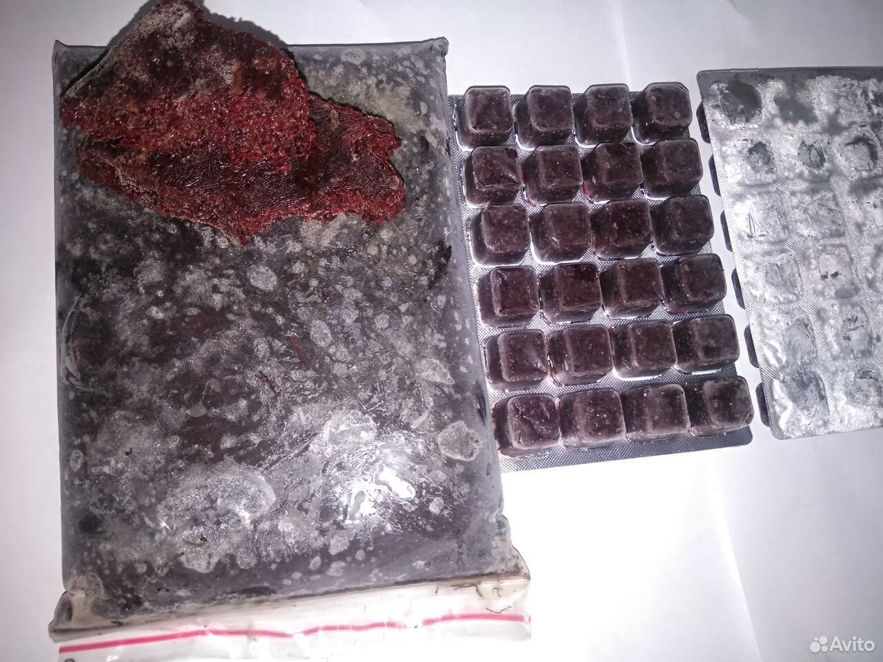 Корм для рыбак