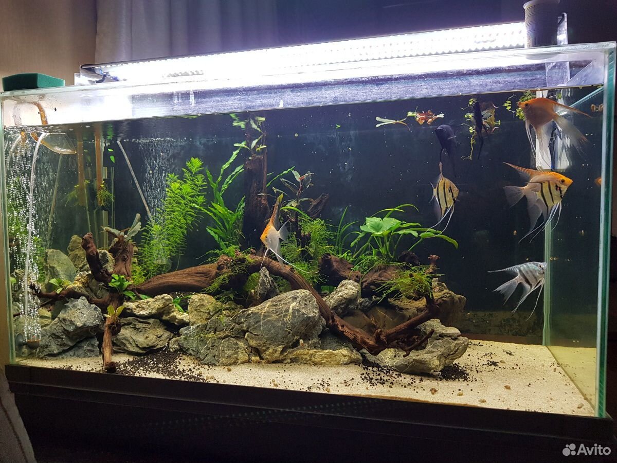 Аквариум 260 л комплект