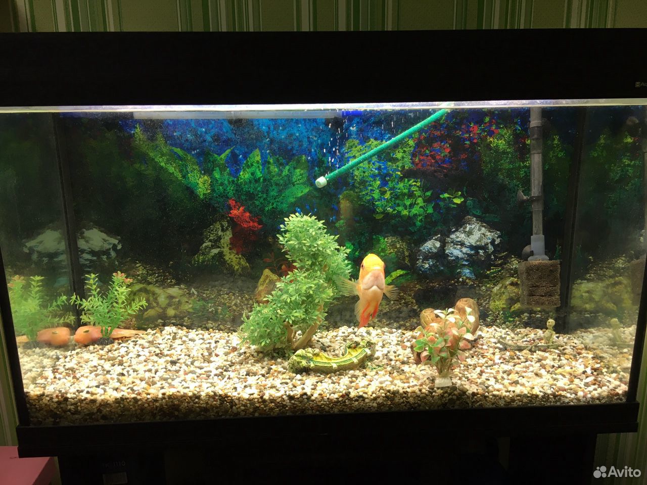 Продаётся аквариум AquaPlus 150 литров