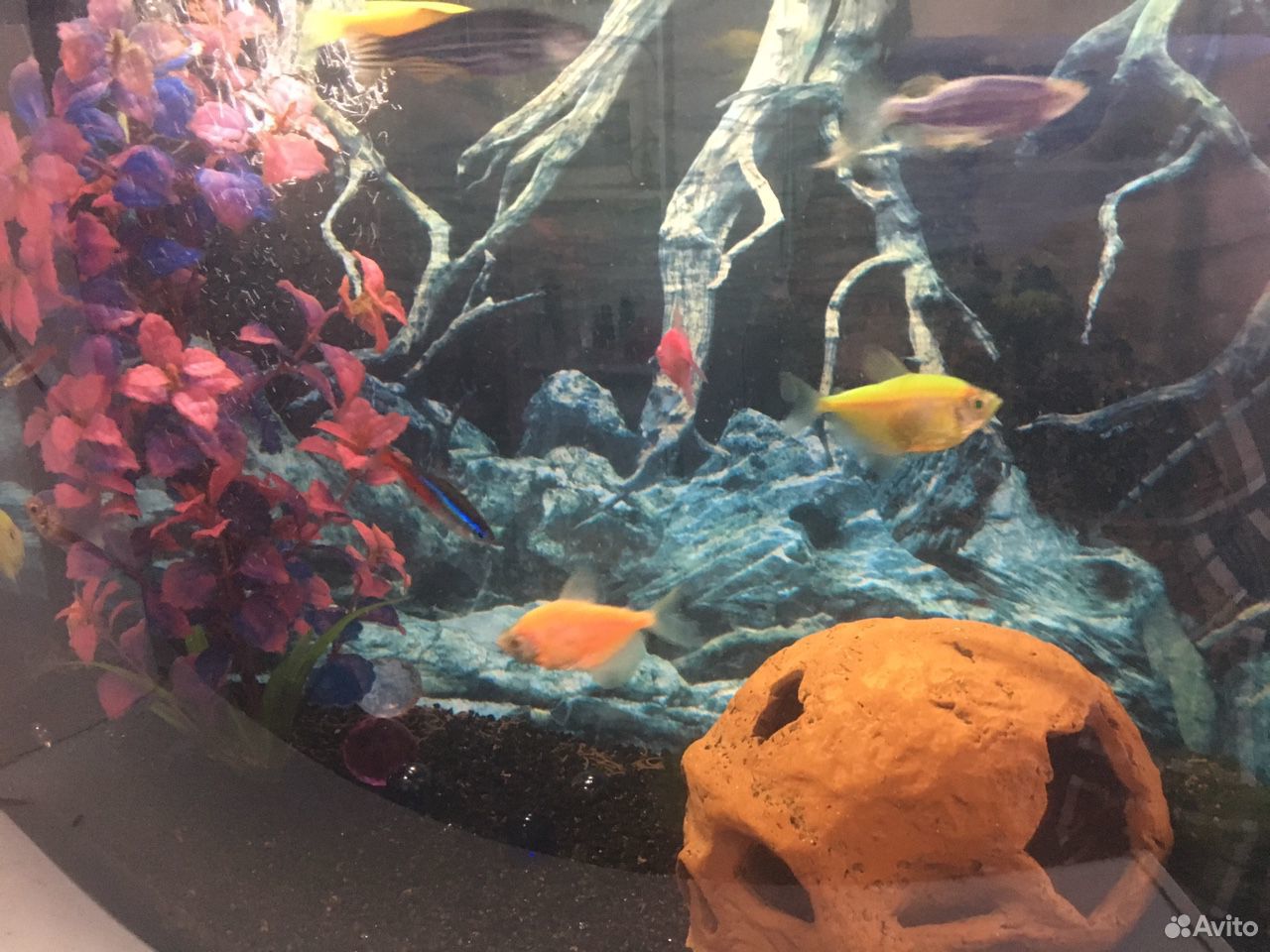 Аквариум