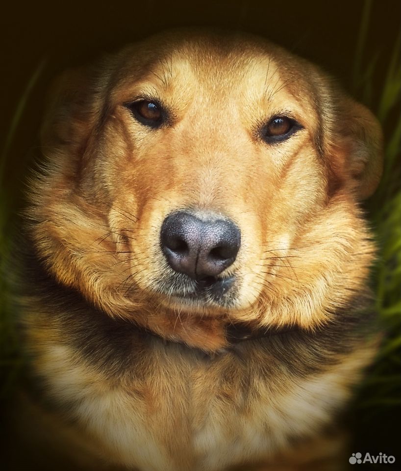 Прошу, умоляю, обратить на меня в-н-и-м-а-н-и-е