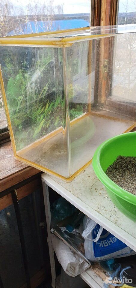Аквариум
