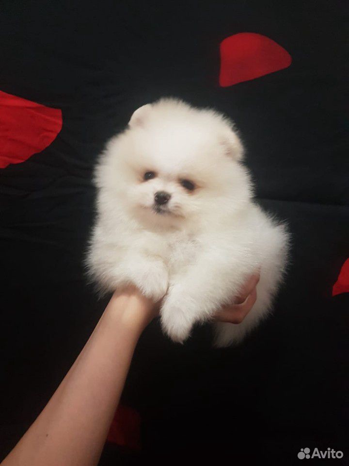 Очаровательный пупс