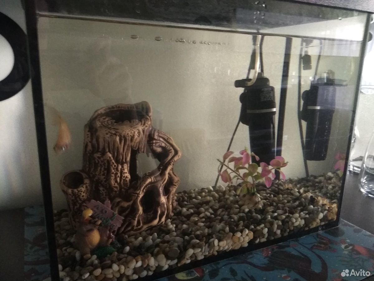 Аквариум с рыбками