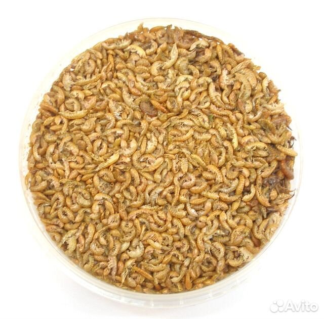 Мормыш (Гамарус) сушеный