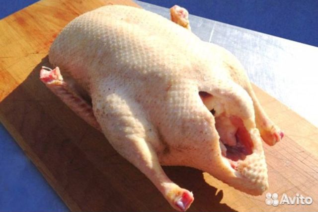 Мясо утки