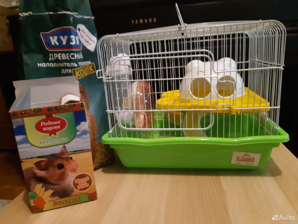 Клетка для хомяка, корм и наполнитель