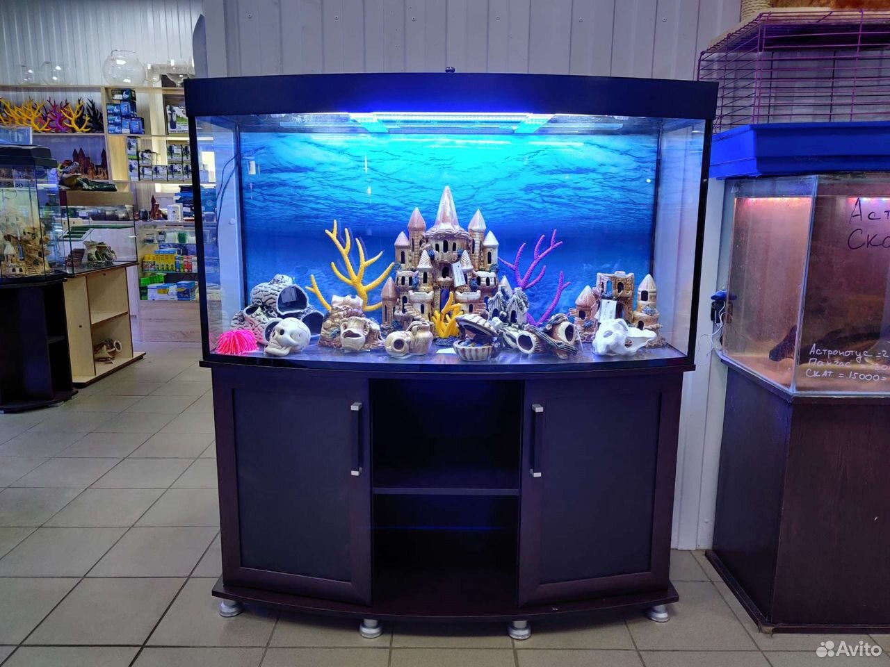 Аквариум