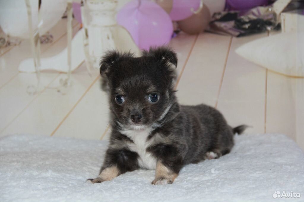 Самая обаятельная и привлекательная