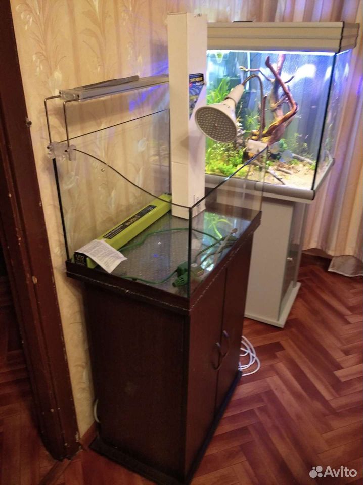 Террариум - полидариум