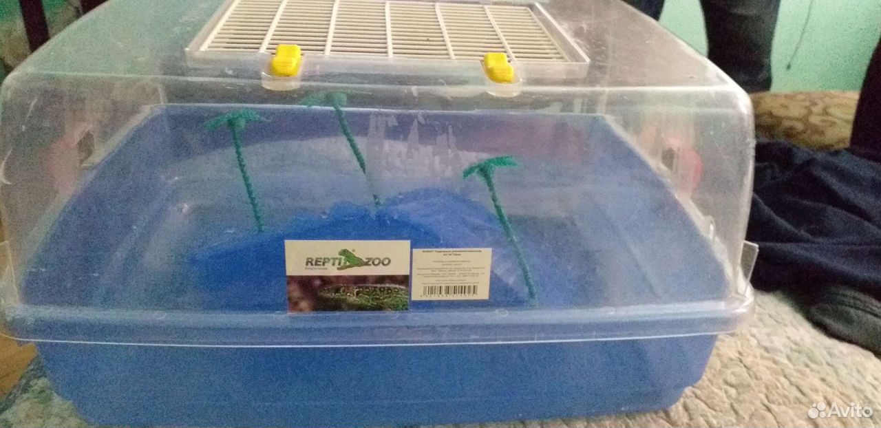 Черепашатник с островком