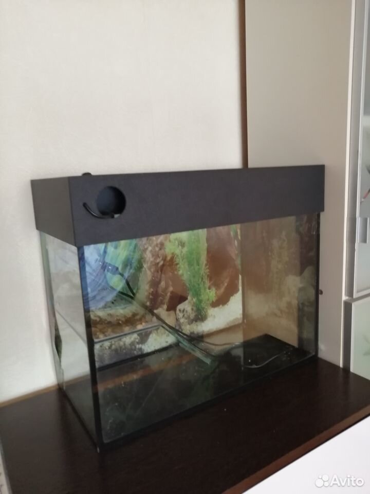 Аквариум с крышкой