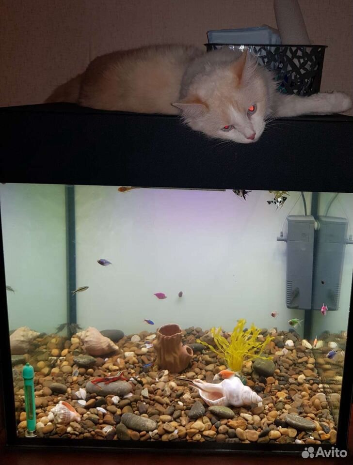 Аквариум 150л