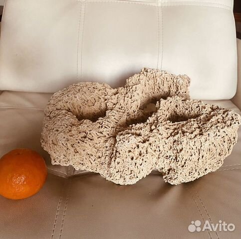 Кораллы для аквариума