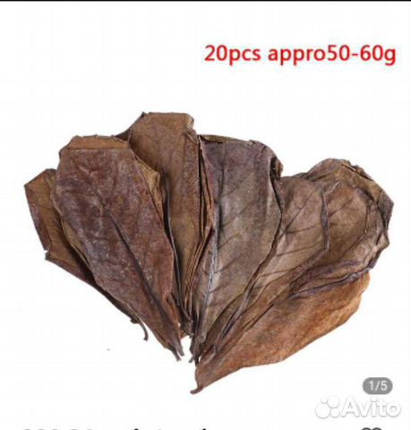 Листья миндаля для аквариума