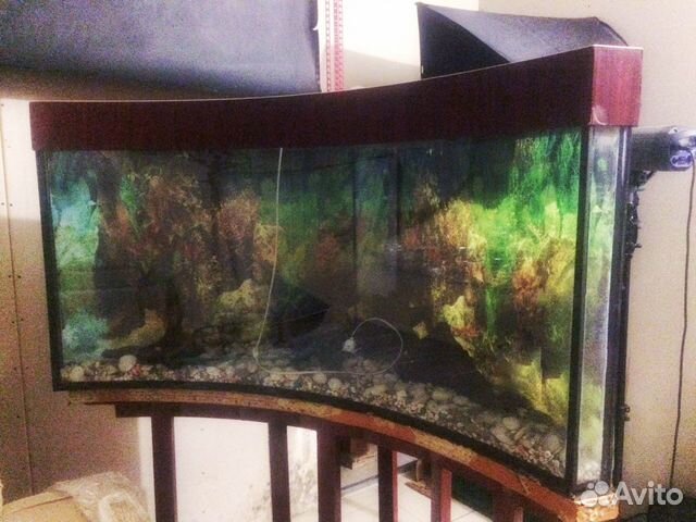 Аквариум