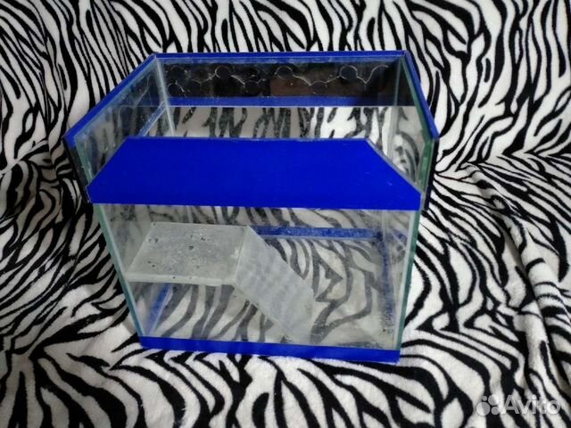 Террариум для черепахи