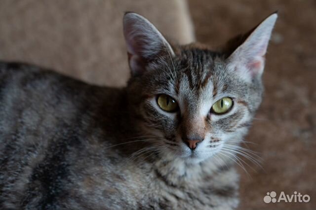 Ласковая и нежная Тая ждёт семью