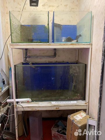 Стойка с аквариумами