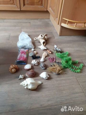 Хобби рыбки