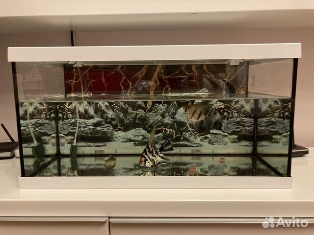 Аквариум Eheim на 54л. (белый)