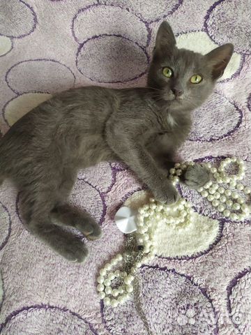 Малыш Гриша