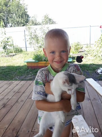 Две ласковые кошечки)