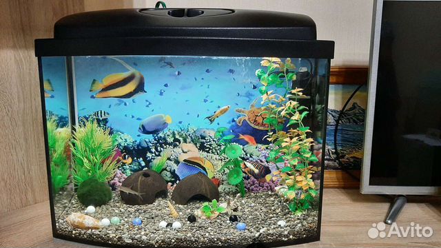 Аквариум