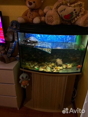 Аквариум