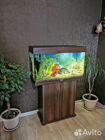 Аквариум с рыбками и аппаратурой