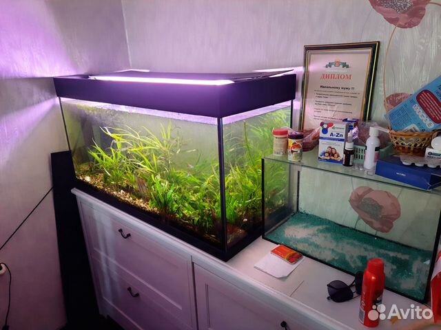 Аквариум