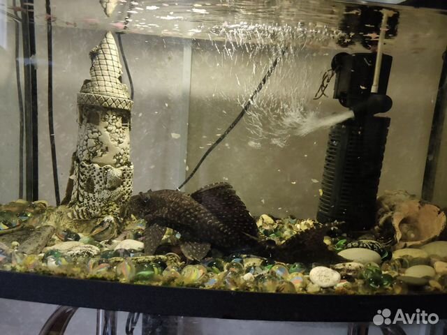 Отдам бесплатно аквариум