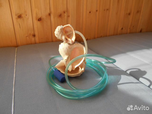 Аксессуары для аквариума