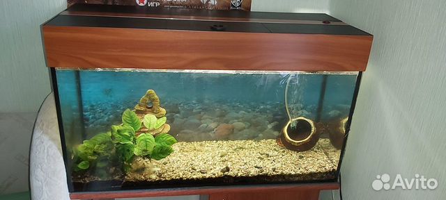 Аквариум с тумбочкой и оборудованием