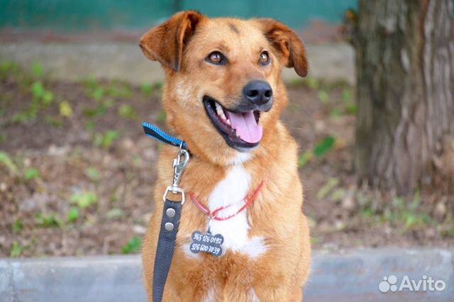 Красотка Герда