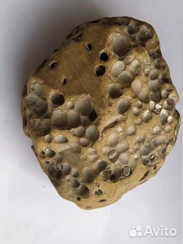 Камень природный для аквариума