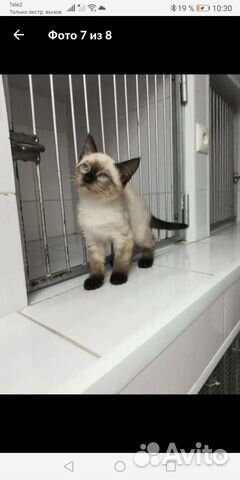 Отдам кроху в добрые руки