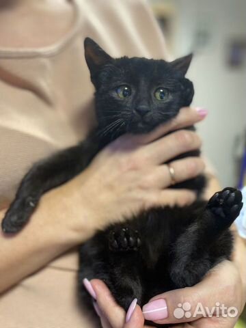 Малышка спасена из садоводства. Ласковая маленькая