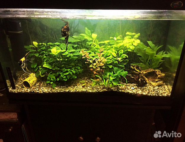 Аквариум ссб-аква 140