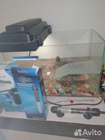 Красноухая черепаха с аквариумом