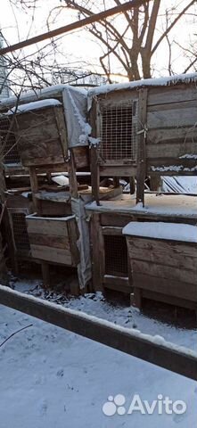 Кролятники