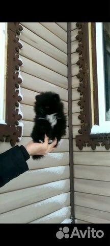 Дюймовочка