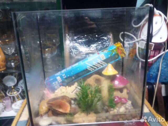 Аквариум 15 литров