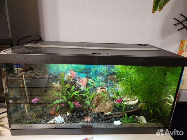 Аквариум eheim 54 литра