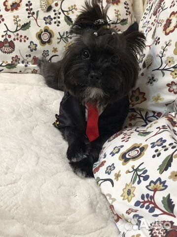 Жених ищет невесту